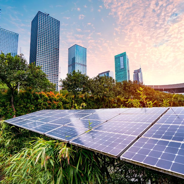 Renewable Energy Sources #SUS2050